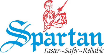 India's Small Giants - Paradigm